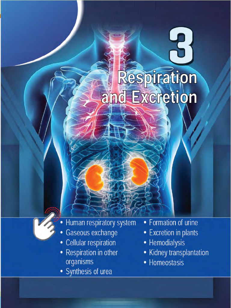 Kerala 9th STD New Biology Textbook CH 3 Respiration and Excretion (Eng ...