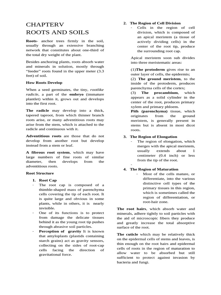 Handouts-in-BOTANY | PDF | Root | Plant Stem