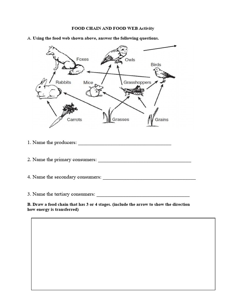Energy Flow | PDF