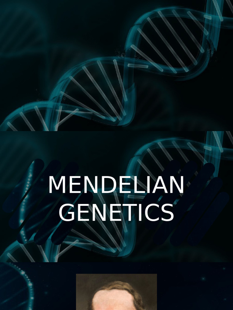 MENDELIAN_GENETICS | PDF | Dominance (Genetics) | Zygosity