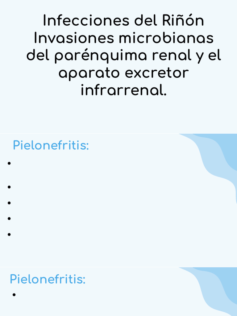 Infecciones Del Riñon | PDF | Riñón | Infección del tracto urinario