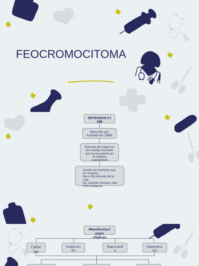 Feocromocitoma - Fisiopatologia | PDF | Enfermedades y trastornos humanos | Causas de la muerte