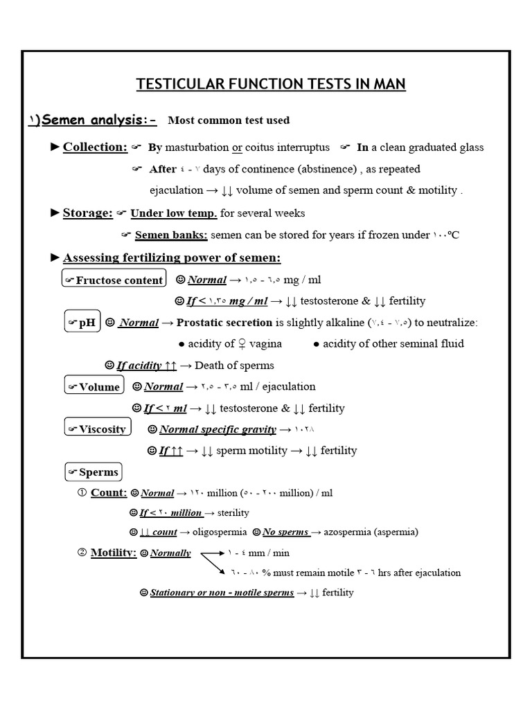 Head Neck 3 Pdf Urology Fertility