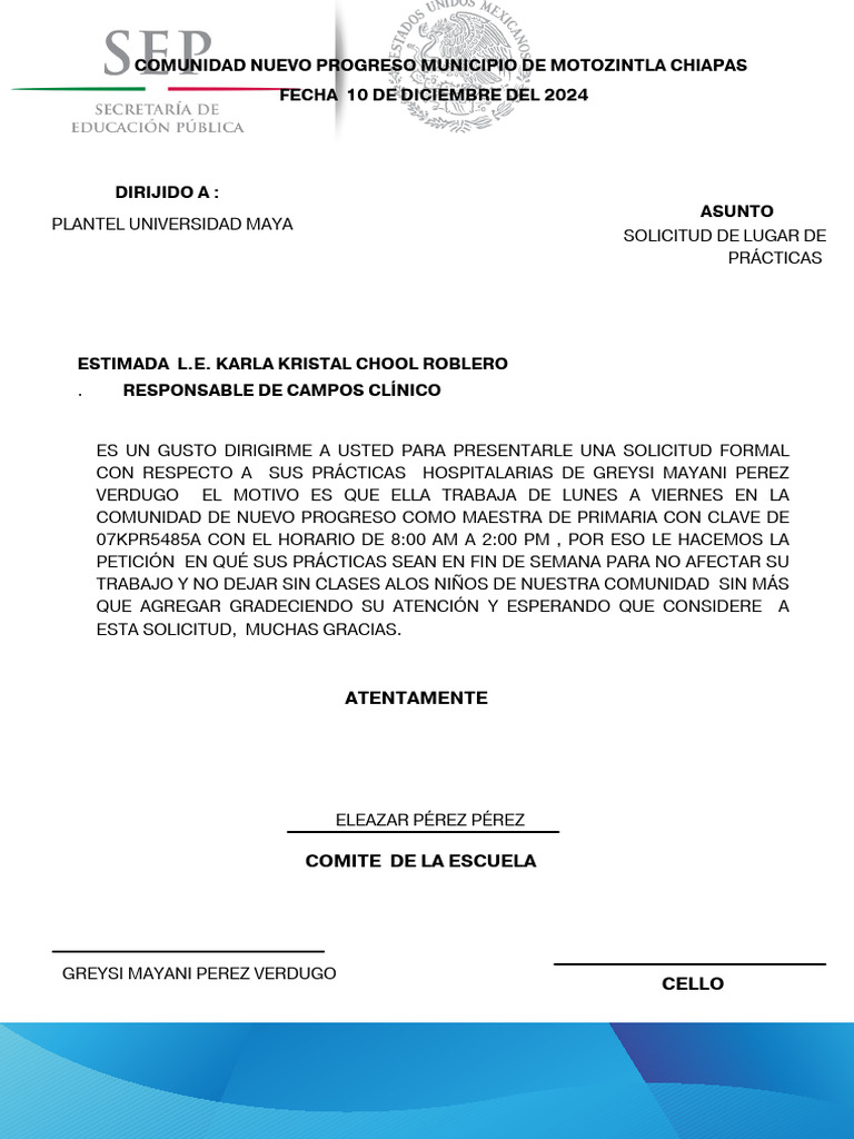 Documento A4 Carta Formal Solicitud Sencilla Azul y Blanco - 20241210 ...