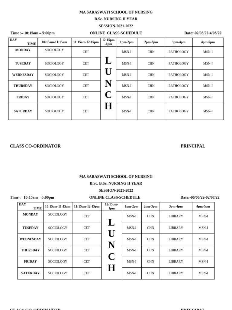 B.SC II YEAR CLASS SCHEDULE 21-22 | PDF