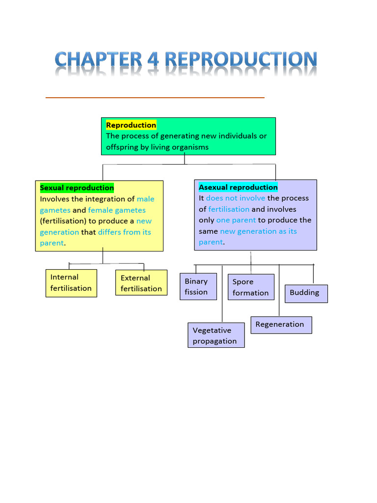 Chapter 4 Reproduction | PDF | Seed | Menstrual Cycle