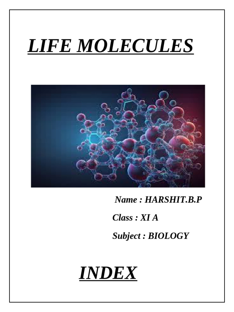 Biology Biomolecules | PDF | Rna | Carbohydrates