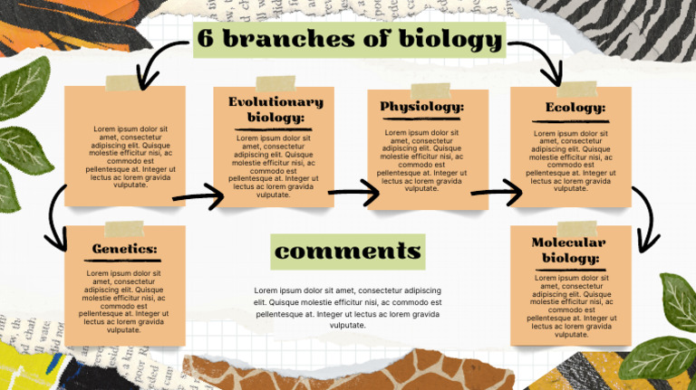 Orange and White Collage Biology Mind Map Brainstorm - 20250119 ...