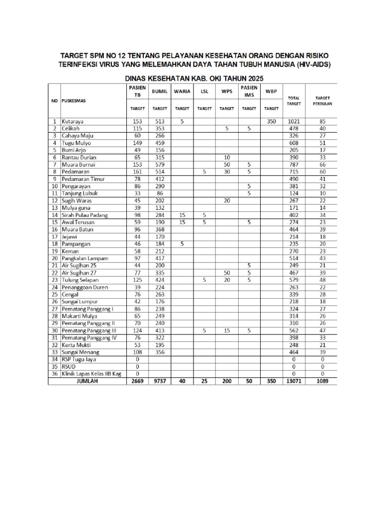 TARGET SPM No 12 TAHUN 2025 KAB. OKI | PDF