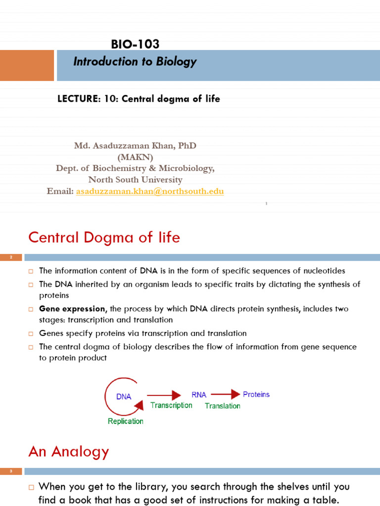 BIO103 L-10_CDL | PDF | Messenger Rna | Translation (Biology)