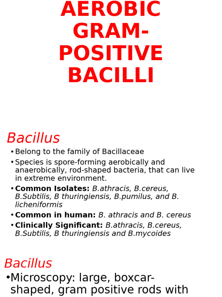 Overview of Bacillus and Corynebacterium | PDF | Bacillus | Anthrax