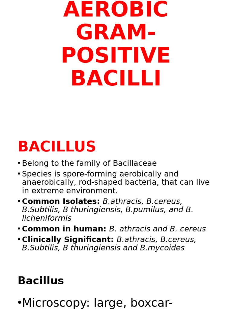 Bacillus Anthracis | PDF | Anthrax | Bacillus