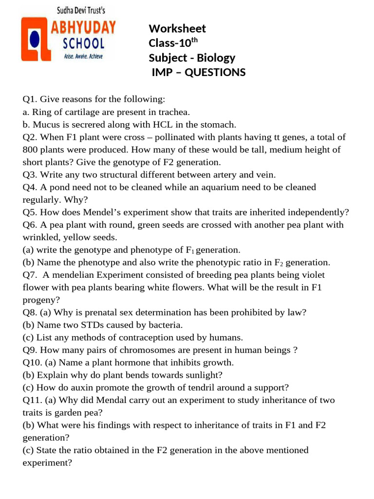 Class 10th Bio Worksheet Imp Questions | PDF | Heredity | Genotype