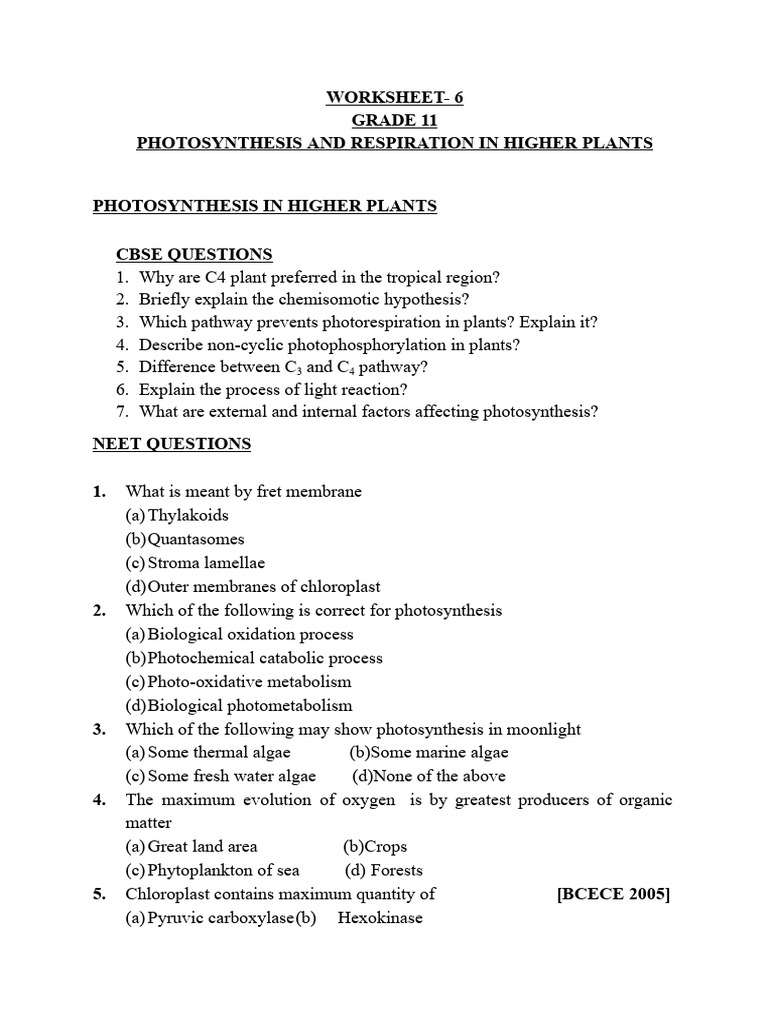 Worksheet 6 Photosynthesis and Respiration in Plants PDF | PDF ...