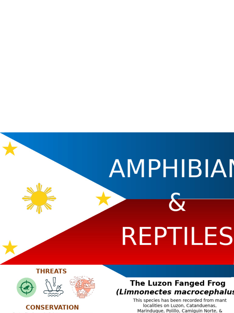 Amphibian Reptiles Report (1) | PDF | Reptile | Herpetology