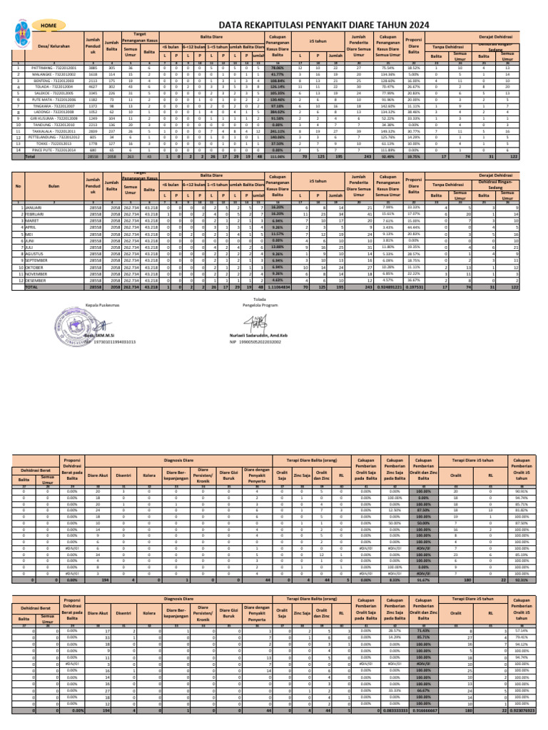 rekapan Pelayanan Diare tahun 2024_ditandatangani | PDF