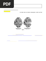 Pogil - 6 Enzymes and Cellular Regulation | PDF | Enzyme | Polymerase ...