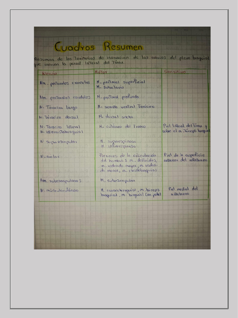 Cuadros Resumen | PDF