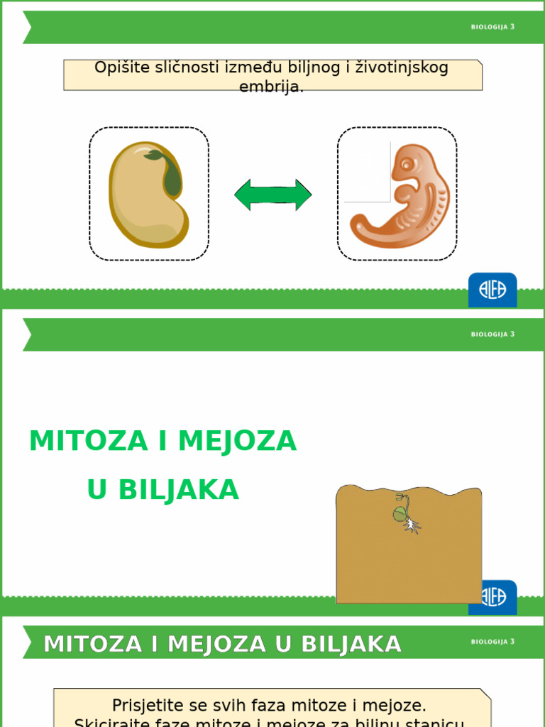 9. Mitoza i mejoza u biljaka (2 sata) | PDF