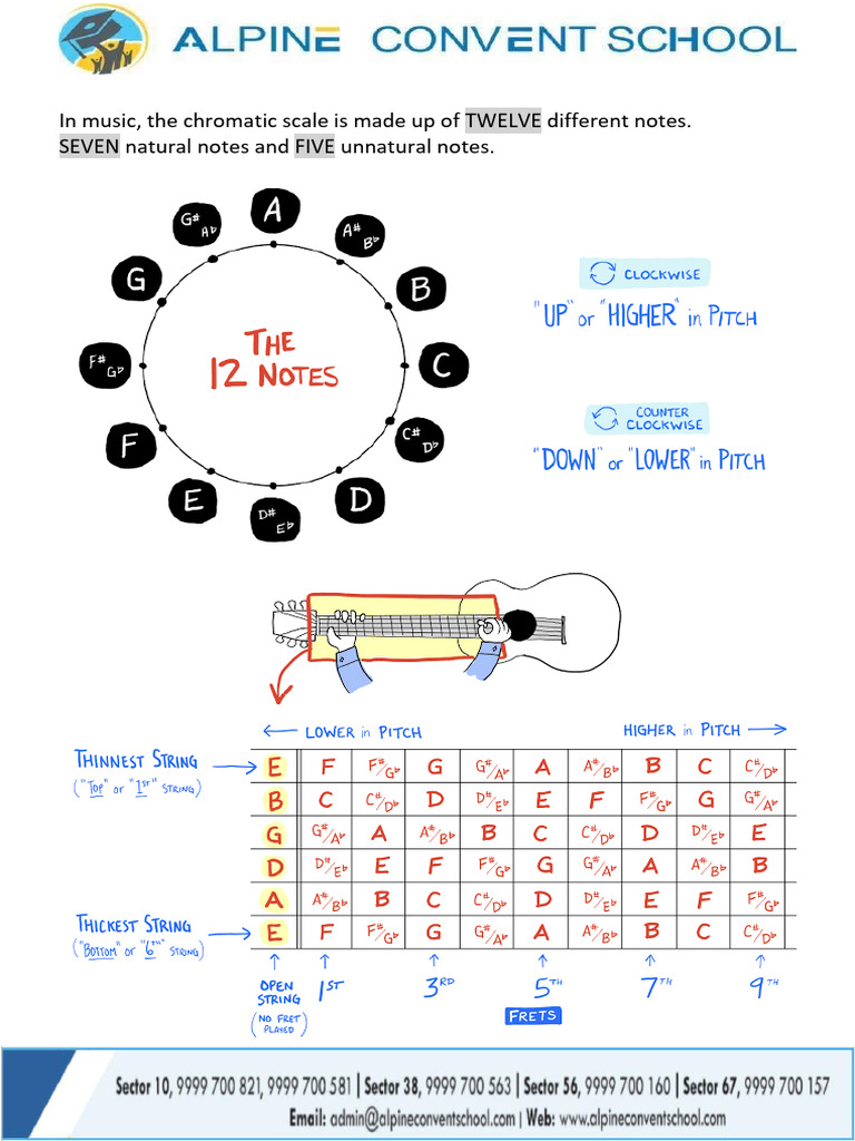 Music Theory Basics for Beginners | PDF