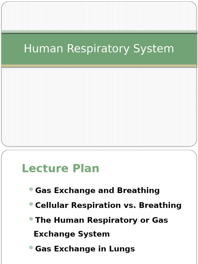 Module 10 Lec-18 - Respiratory & Excretory System | PDF | Respiratory ...
