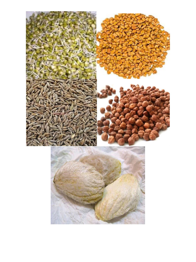 Science MDP (Pitchure)? | PDF