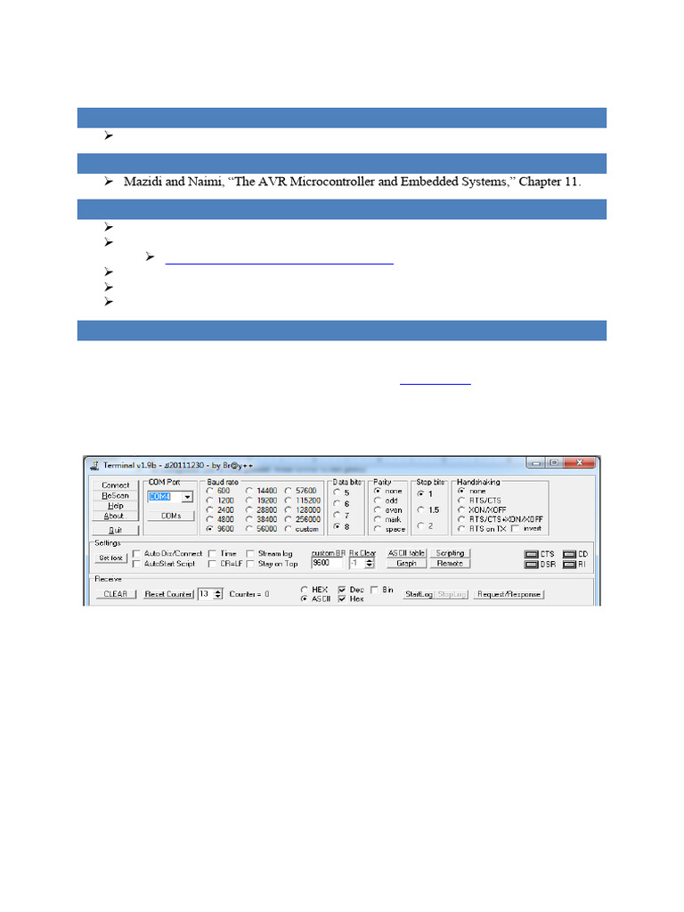 Guideline for using Terminal Program | PDF