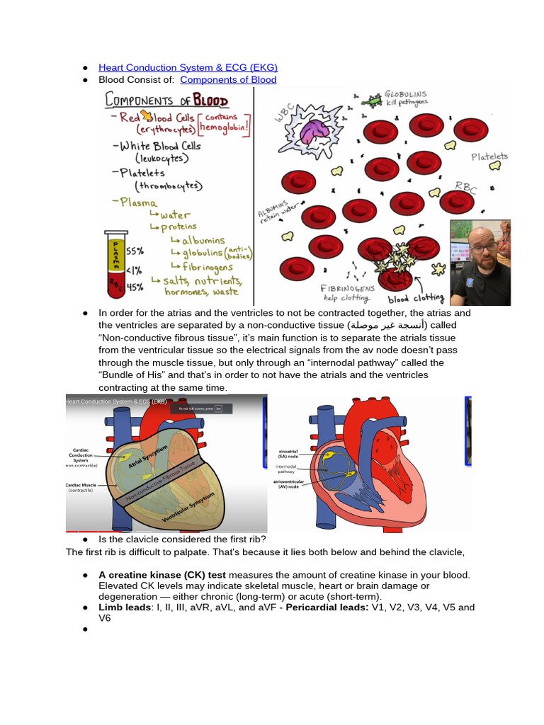 Cardiology | PDF | Myocardial Infarction | Heart
