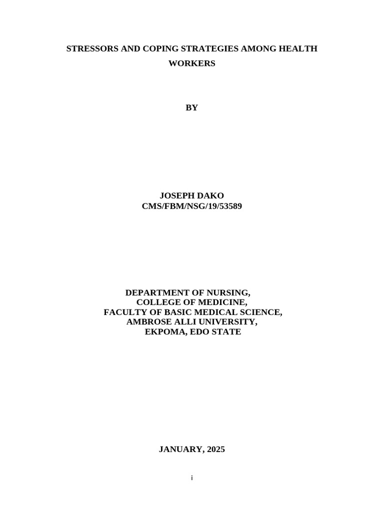 Dako Joseph Seminar 2 2025 | PDF | Stress (Biology) | Occupational Stress