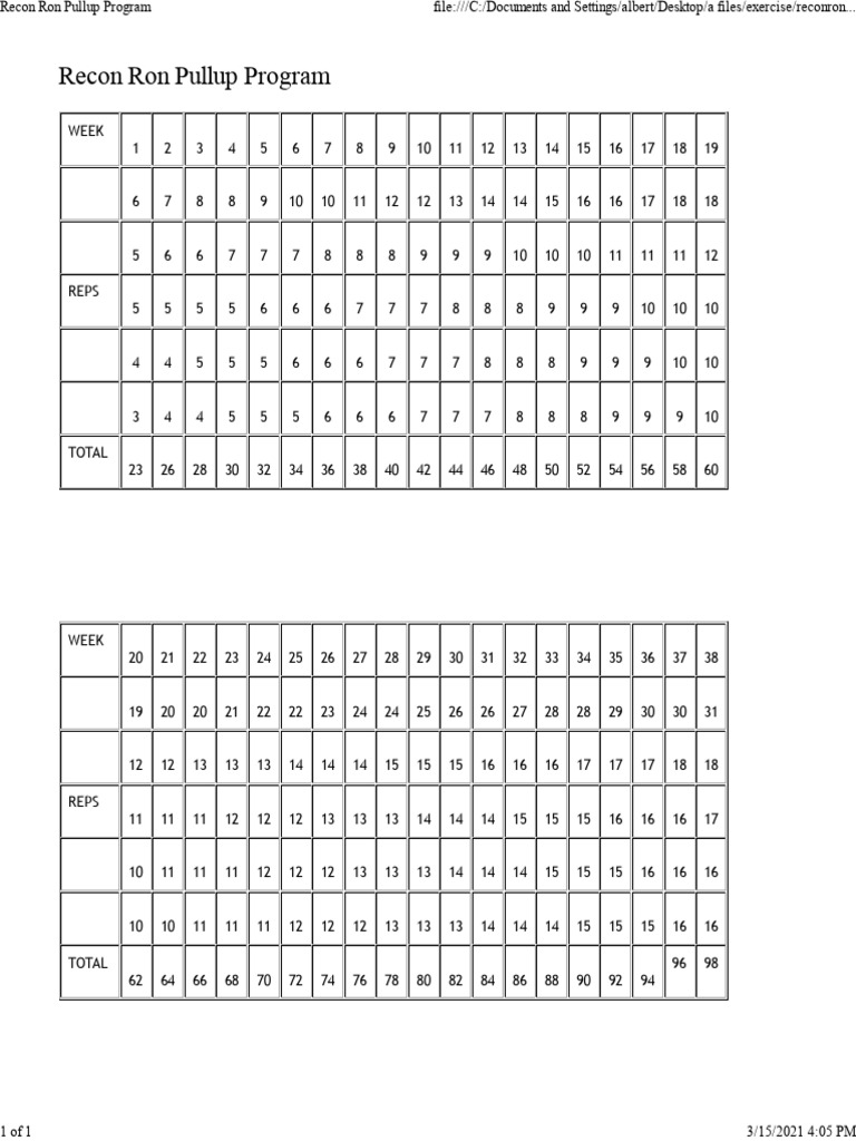 Recon Ron Pullup Workout Plan | PDF