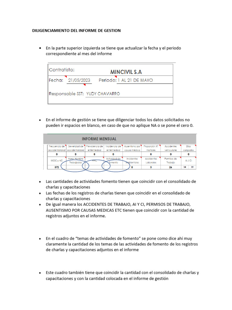 INSTRUCTIVO INFORME DE GESTION | PDF