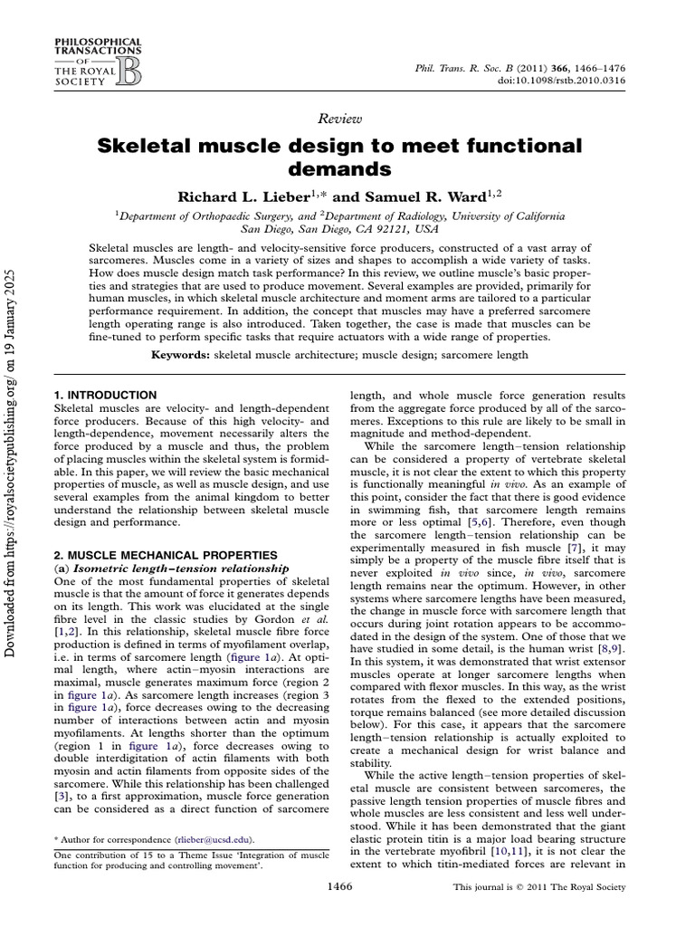 Lieber Et Al 2011 Skeletal Muscle Design To Meet Functional Demands ...