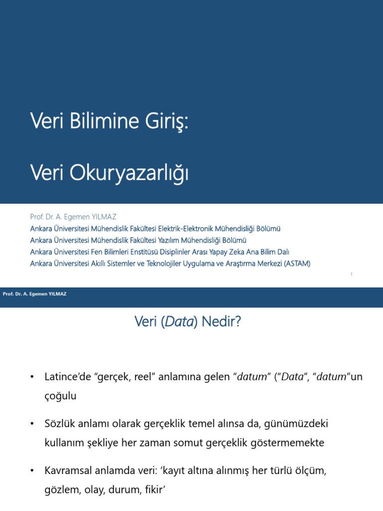 01 - Veri Bilimine Giriş - Veri Okuryazarlığı 2 | PDF