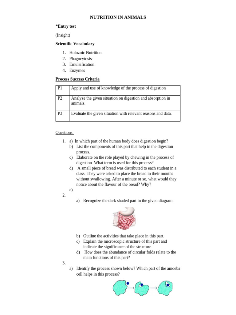 Nutrition in Animals Notebook Ques Grade 7 | PDF | Digestion | Mouth