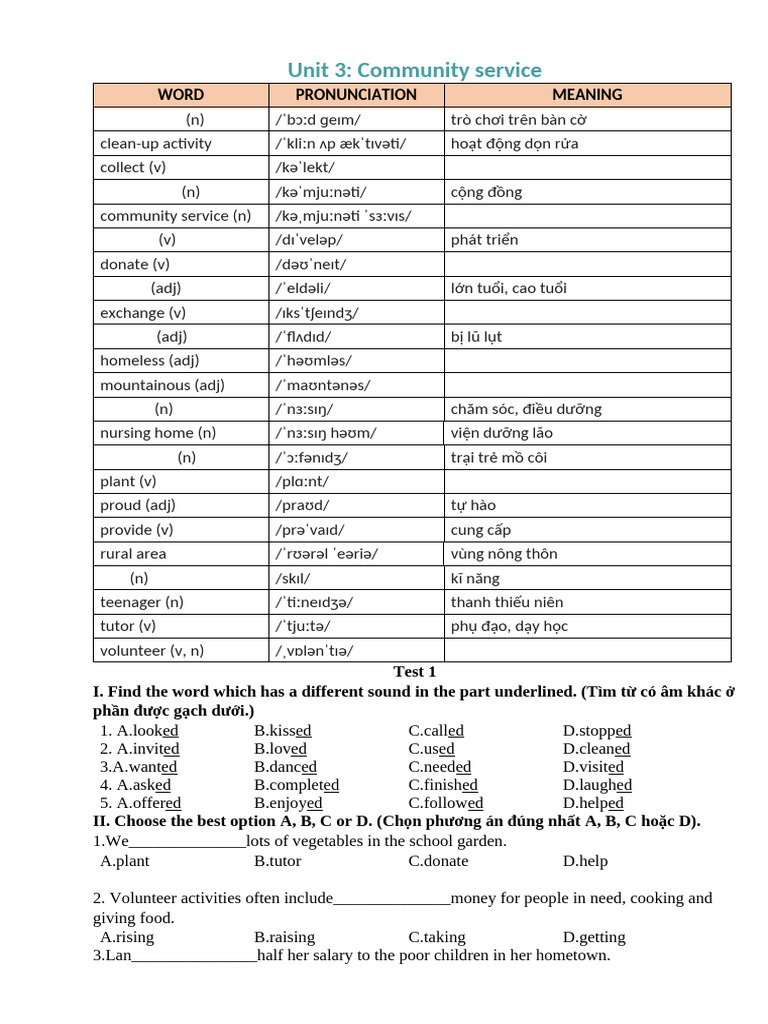 Community Service Vocabulary and Activities | PDF