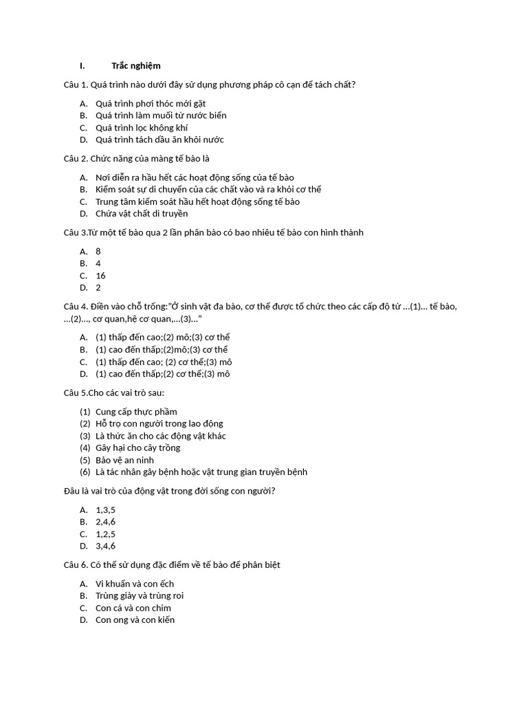BTVN 15.11.2024 | PDF