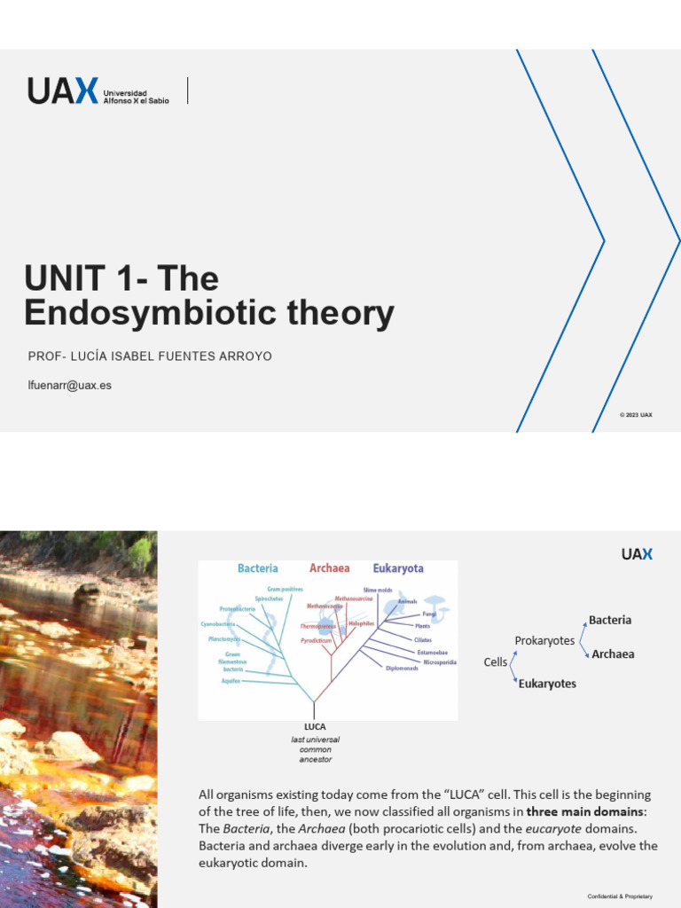 Endosymbiotic Theory Explained | PDF | Eukaryotes | Cell (Biology)
