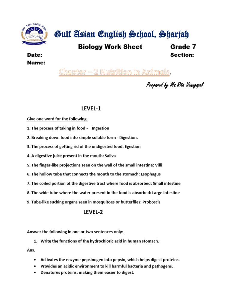 Grade 7 Biology Digestive System Worksheet | PDF | Digestion | Stomach