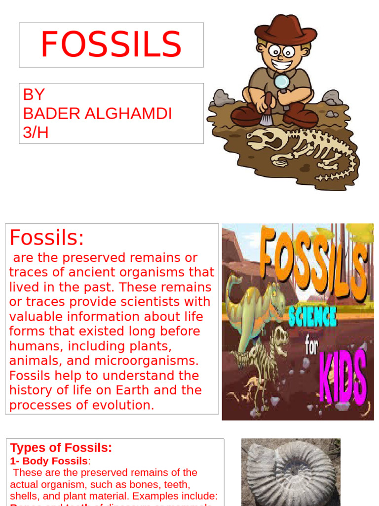 Bader Ppt FOSSILS | PDF