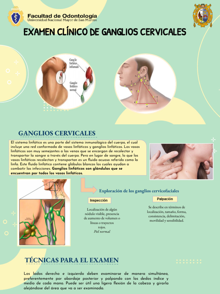 Examen Clínico de Ganglios Cervicales | PDF | Ganglio linfático ...