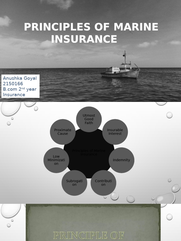 Principles of Marine Insurance Explained | PDF | Insurance | Business Law