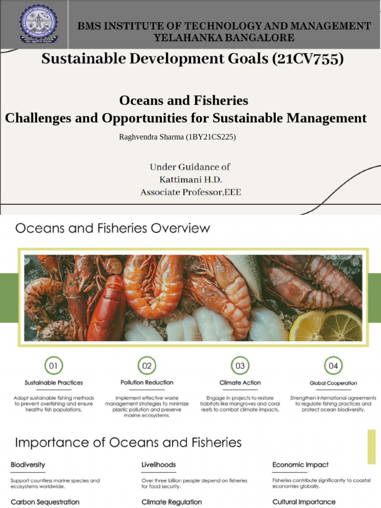 Presentation SDG 1BY21CS225 | PDF