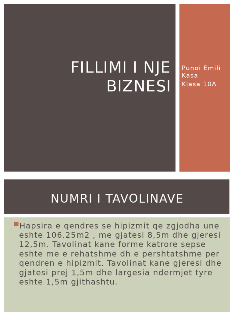 Fillimi I Nje Biznesi | PDF