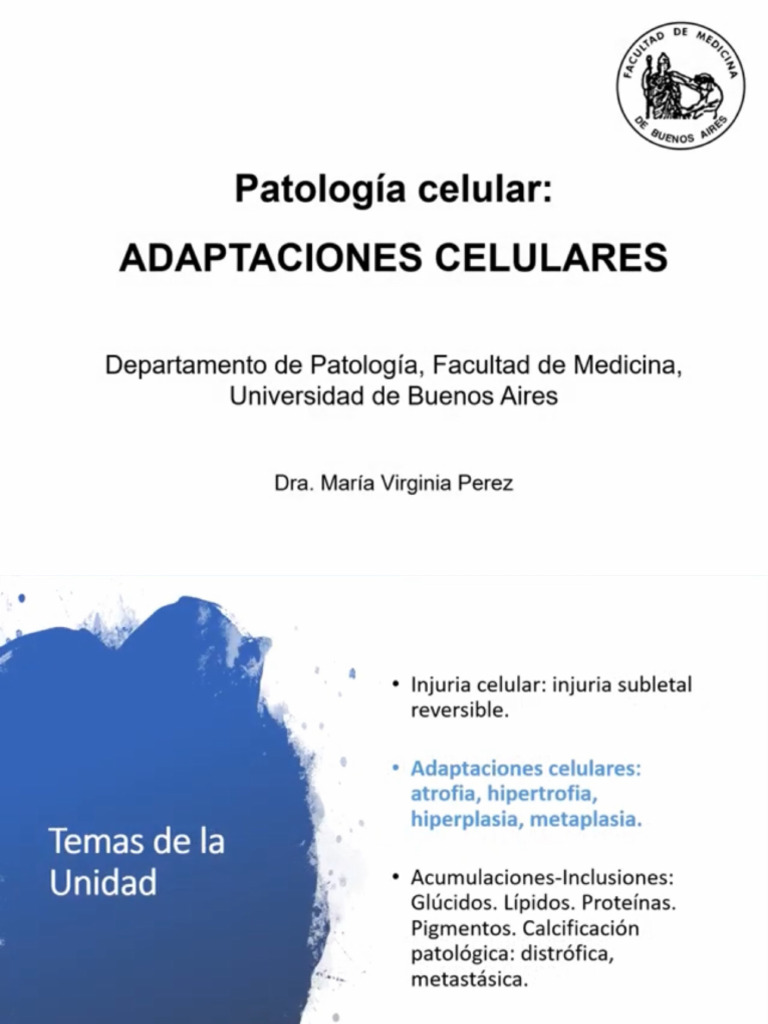 Adaptaciones Celulares | PDF