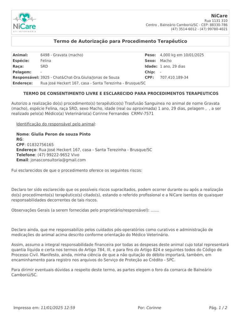 Termo de Autorização para Procedimento Terapêutico - Gravata - Chat ...