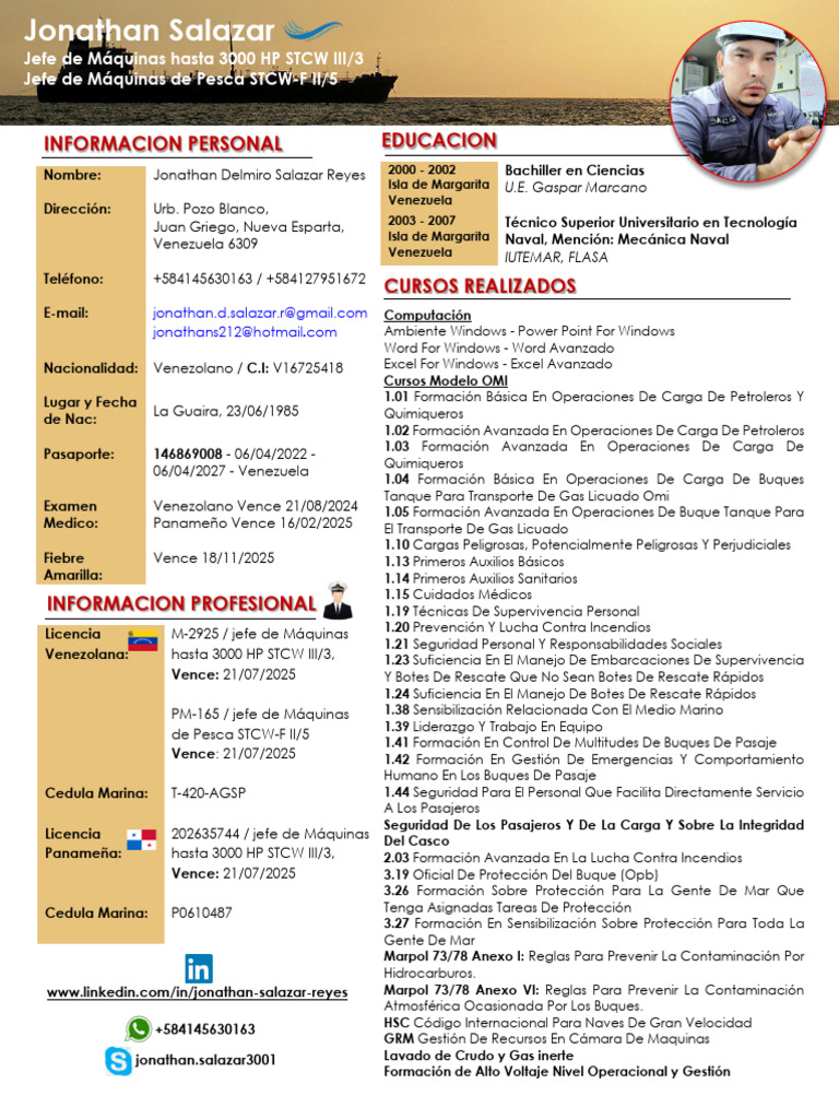 CV Jonathan Salazar 2023 PDF | PDF | Envío