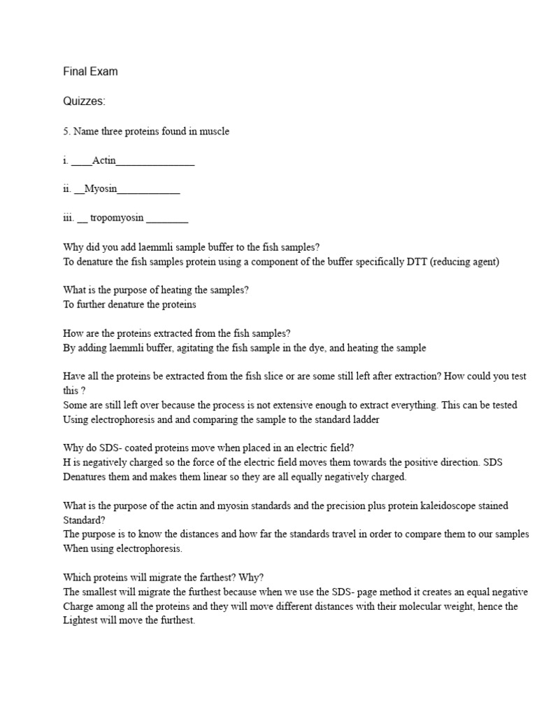 Final Exam Cell BIO LAB | PDF | Gel Electrophoresis | Polyacrylamide Gel Electrophoresis