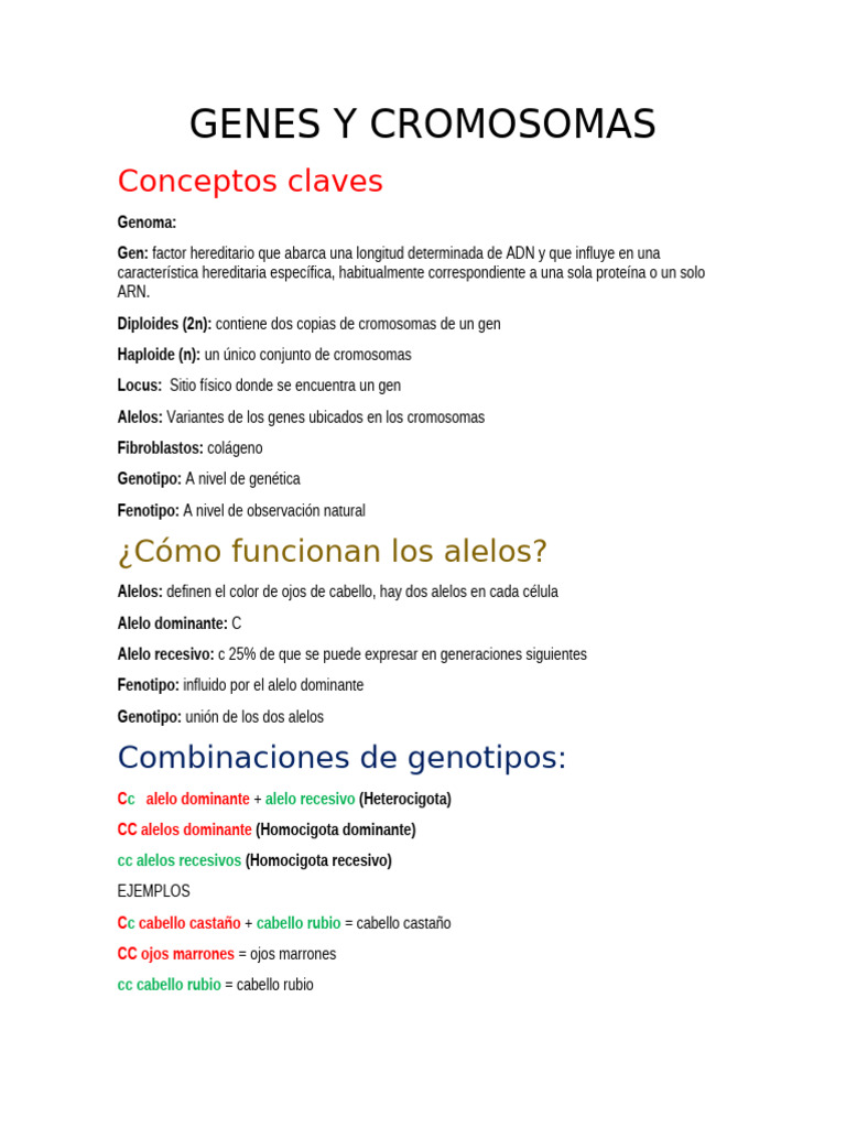 Apuntes Genes y Cromosomas | PDF