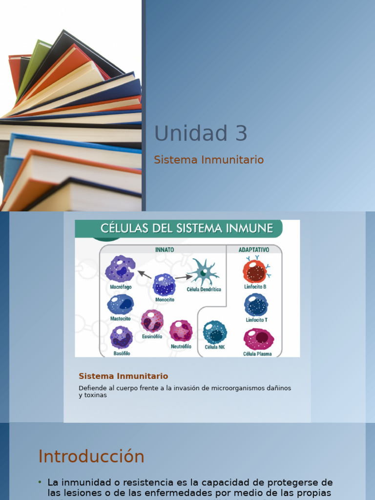 Sistema Inmunitario | PDF | Sistema inmune | Célula T