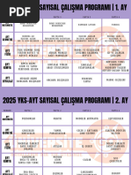 TYT 60 Gunluk Calisma Programi TAM | PDF